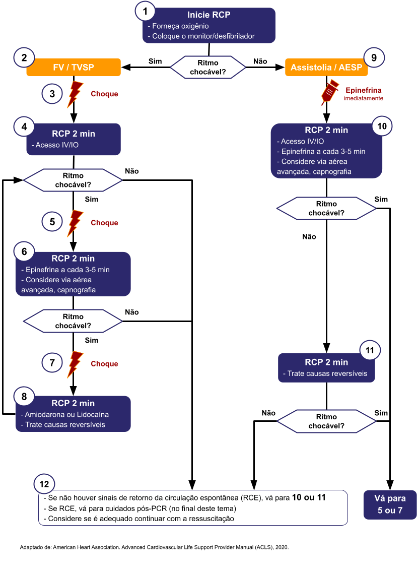 Suporte de Vida Cardiovascular (Visão Geral) - MEDBOOK- Guia de ...